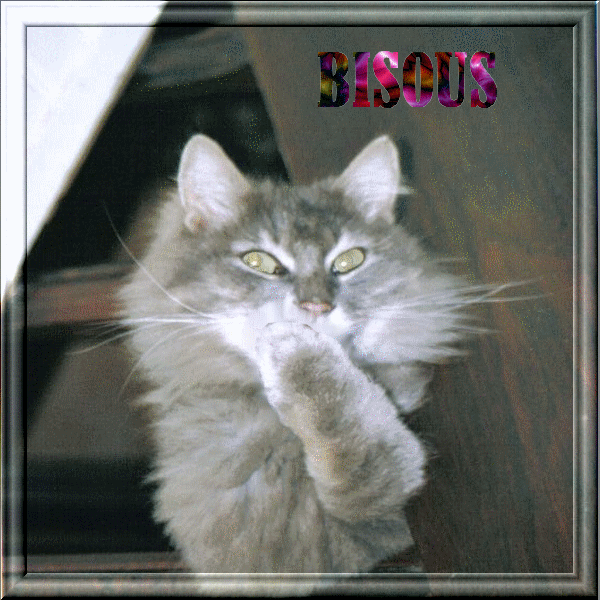 a41bis images gifs bisous - Page 10