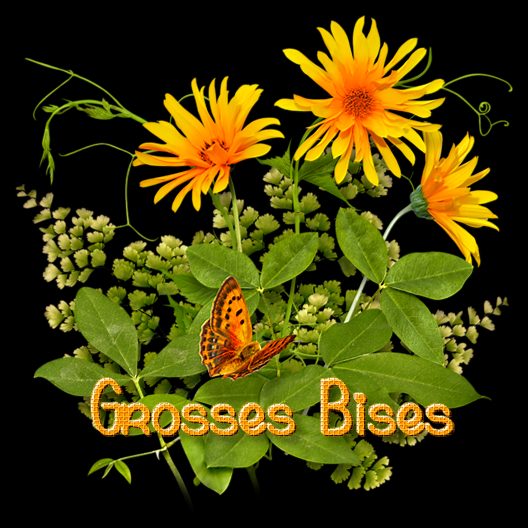 a41bis images gifs bisous - Page 3