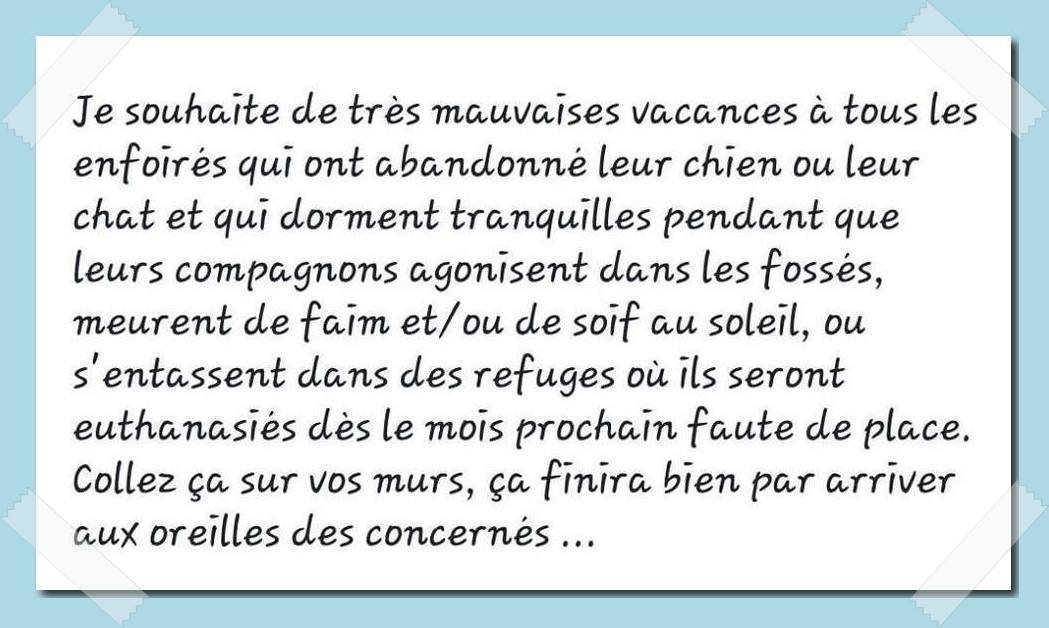 vive les vacances ete - Page 7