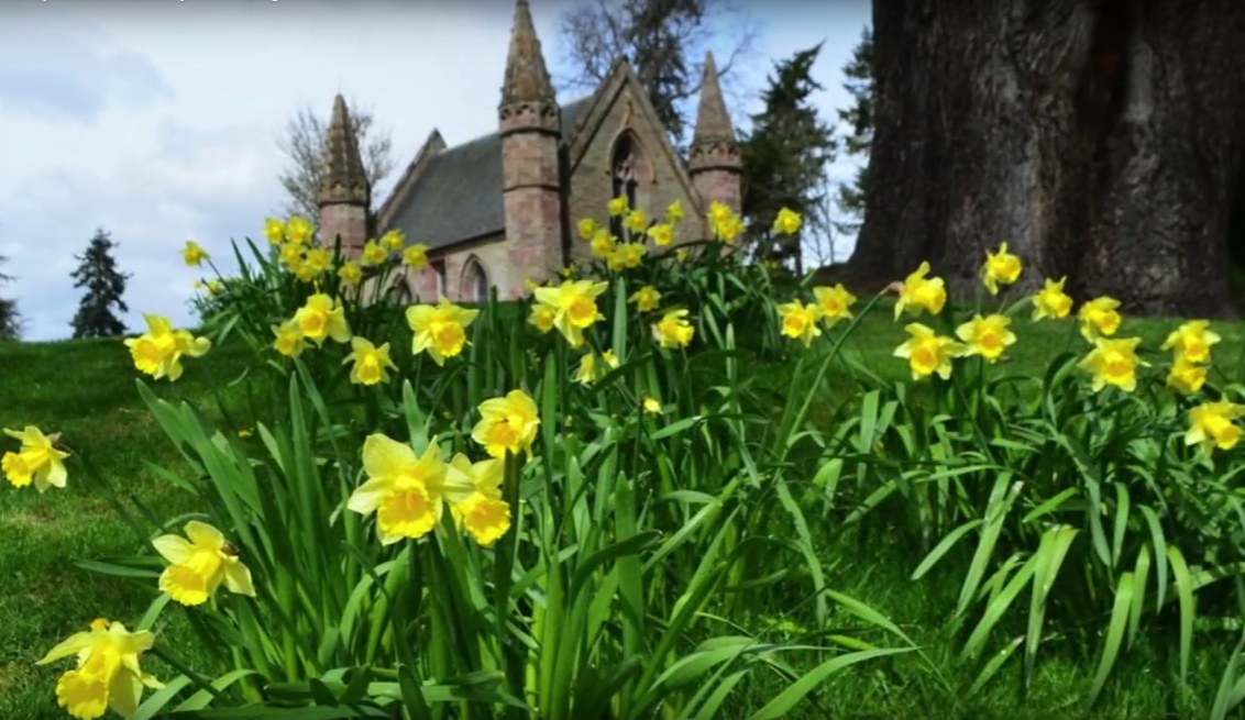 un petit tour au jardin un petit tour au jardin